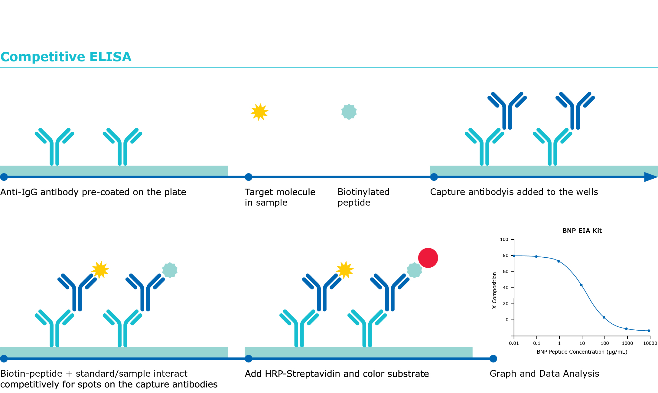 שילוב ELISA ו- Multiplex מאפשר זיהוי חלבונים בקלות ובביטחון