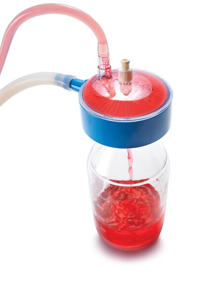 סדר עולמי בסינון סטרילי! | גדות מרקורי