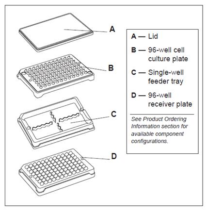 Millicell® inserts and plates | מרקורי מוצרי מדע ותעשייה